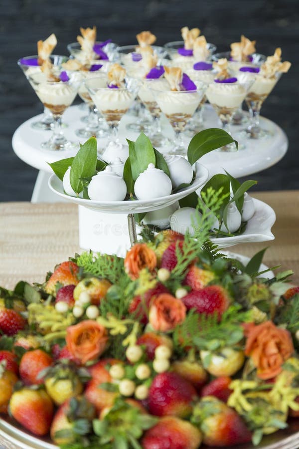 Social Events Reception; Tasty Snacks for Guests at the Reception Stock ...