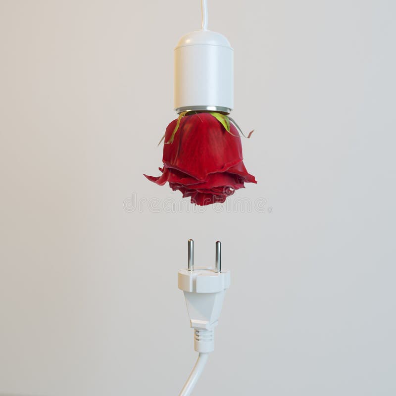 Socket with Roses Bulb (Conceptual Energy Picture) Stock Illustration ...