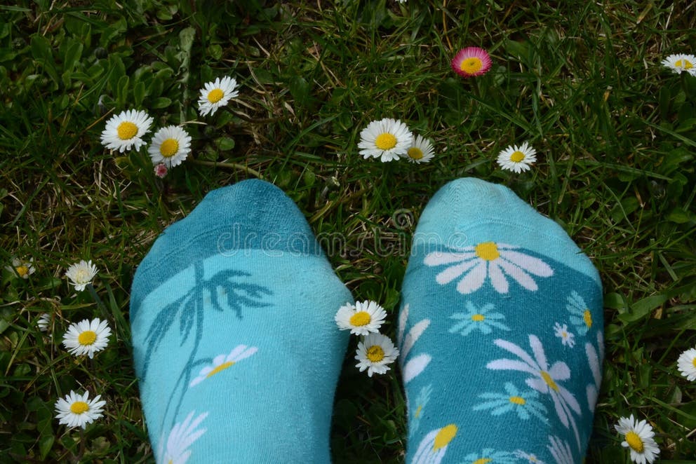 Socks with a Pattern of Daisies Stock Photo - Image of lawn, nature ...