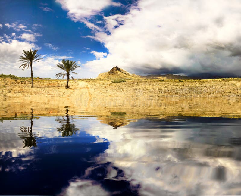 Socotra island sunset stock image. Image of cloudscape - 14810563