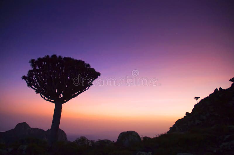 Socotra island sunset stock image. Image of socotra, rugged - 17984905