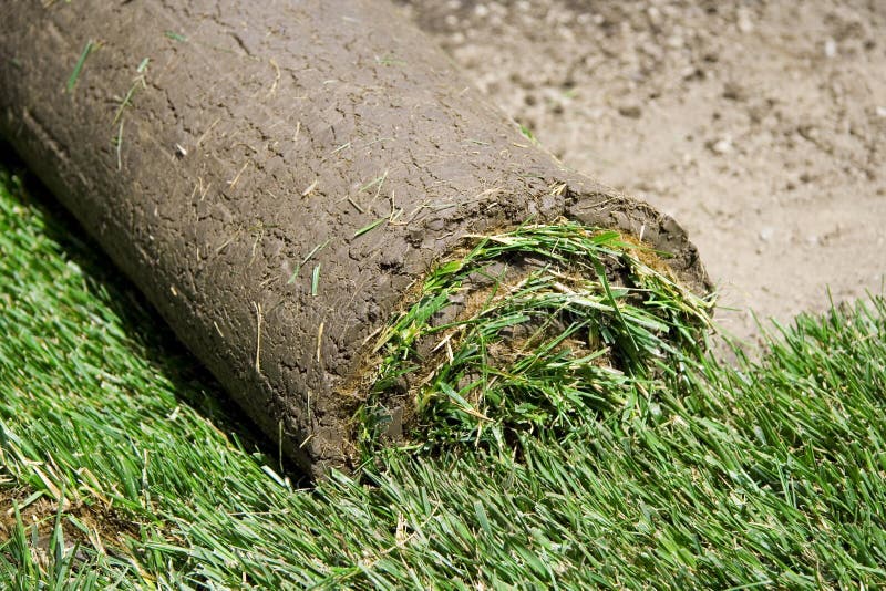 Sod Rolls stock image. Image of sodding, grass, piled - 41221557