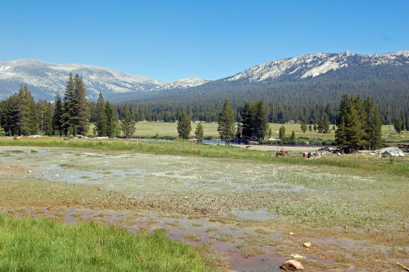 Soda springs stock image. Image of holiday, tourism, meadow - 16928411