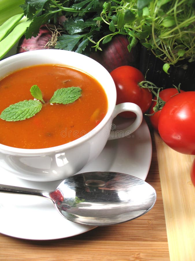 Soep stock foto. Image of tafelzilver, schotel, uien - 10902992