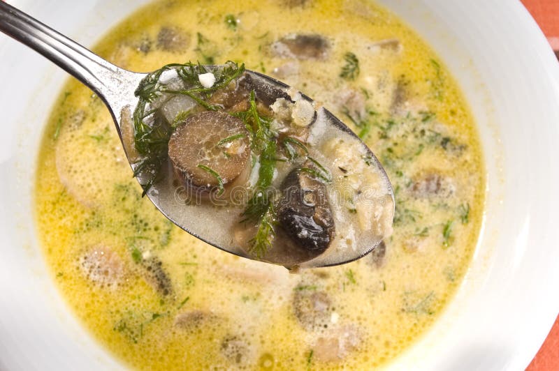 Soep stock afbeelding. Image of schotel, maaltijd, soep - 4481225