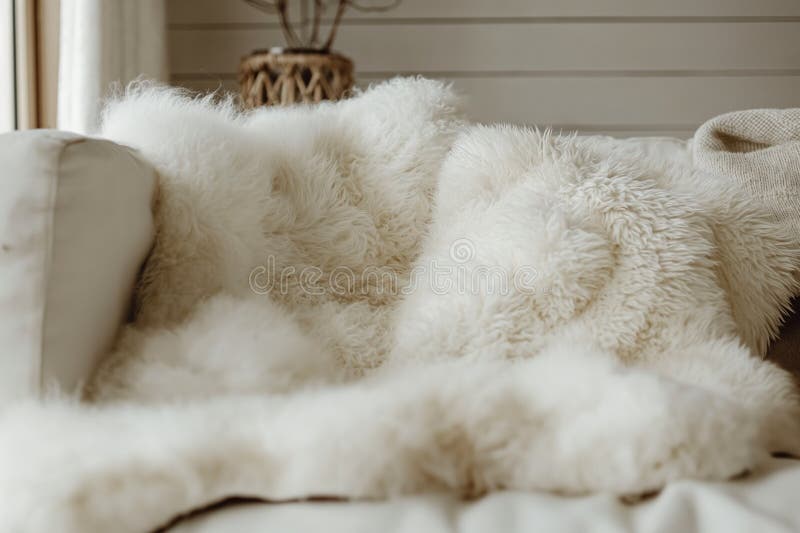 Sofa with Fur in the Living Room. Interior Design Stock Illustration ...