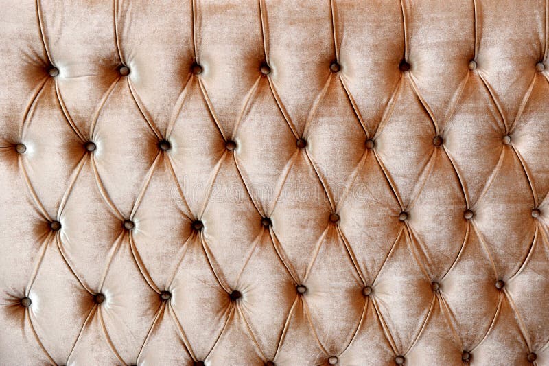 Skin tissue stock illustration. Illustration of human - 15599866