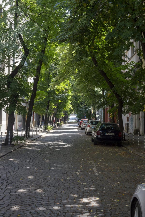 07 30 2021 Sofia Bulgaria a View of a Street with Threes during the ...