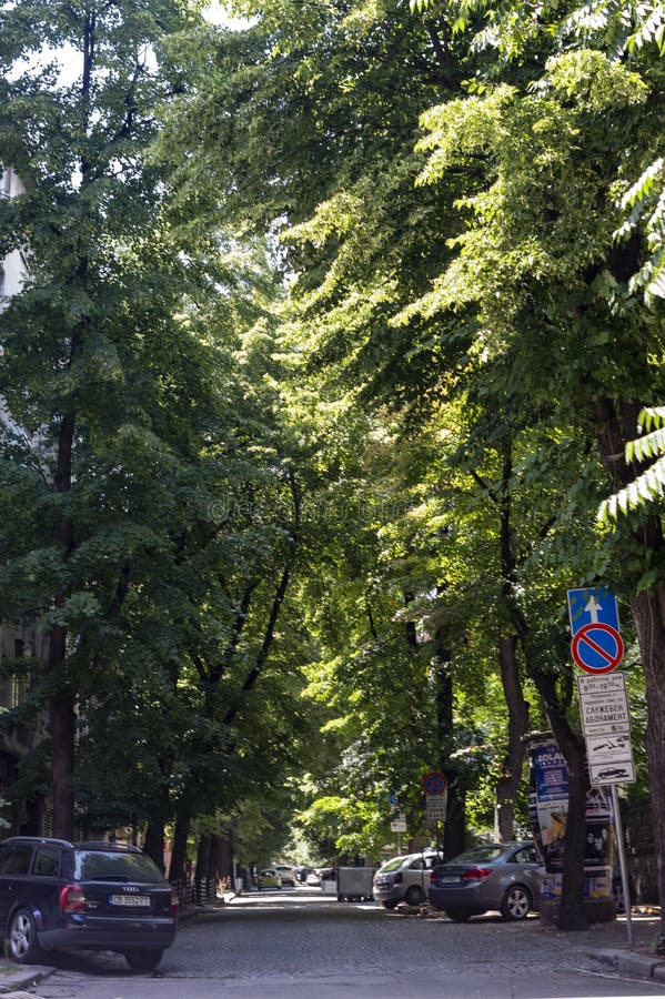 07 30 2021 Sofia Bulgaria a View of a Street with Threes during the ...