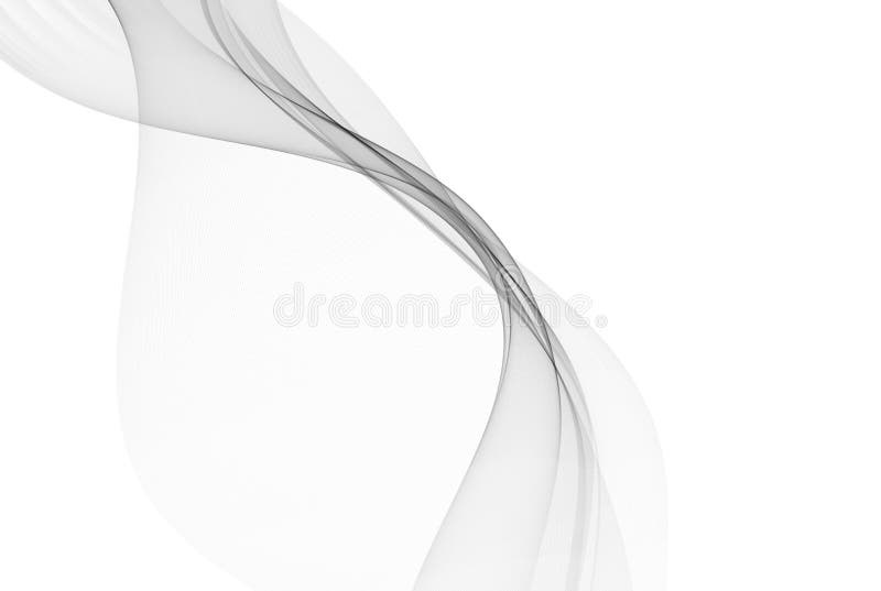 Soft Abstract Gray Wave Lines,border Layout Gray Elegant Modern ...