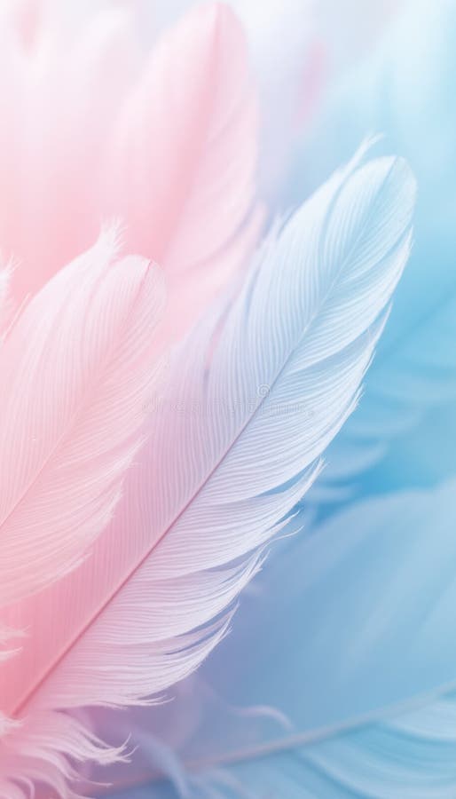 Soft and Airy Background with Pink and Blue Feathers. Stock ...