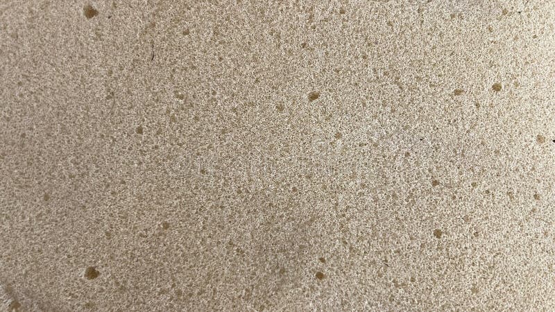 Soft and Airy Texture of Freshly Made Bread Dough Resting Stock Photo ...