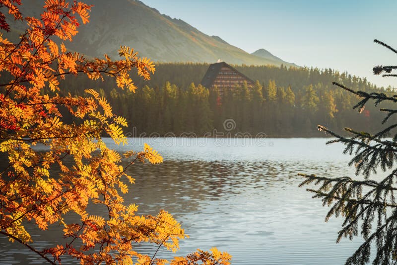 Soft Autumn Background in Mountains. Gentle Light, Edit Space. Beutiful ...