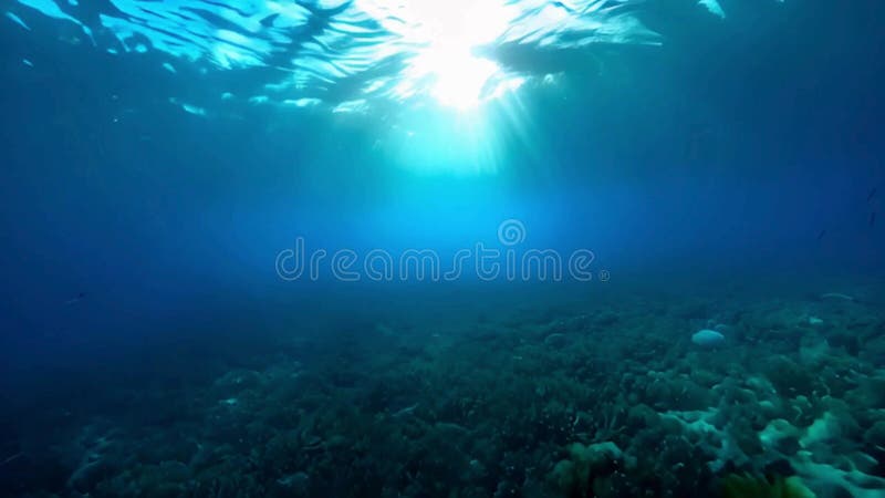 Rays of Light Shining through Underwater Surface with Rippling Effect ...