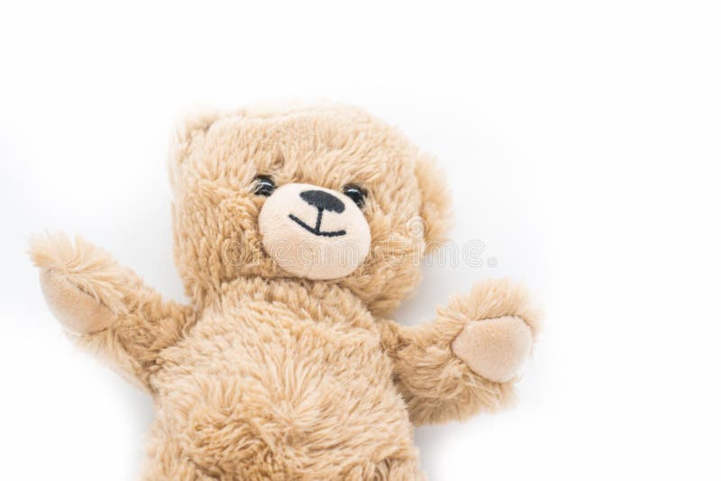Soft Bear Toy in Brown Color Stock Photo - Image of white, cute: 168030566