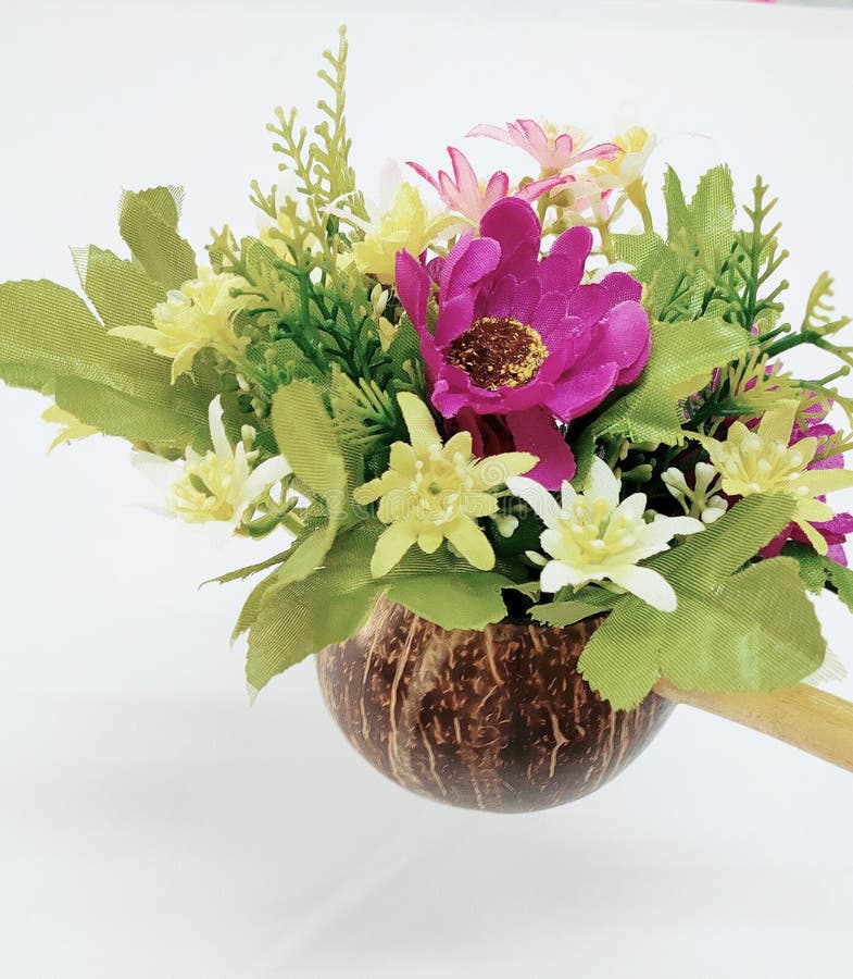 The Soft Beautiful of the Colorful Flowers Stock Image - Image of ...