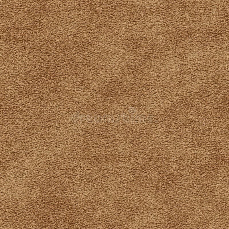 Soft Beige Textured Carpet Detail Subtle Pattern Stock Photos - Free ...