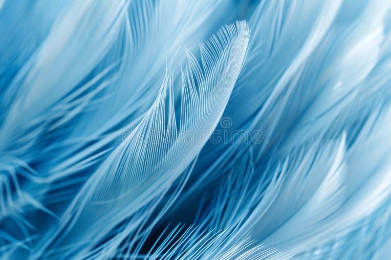 Soft Blue Feathers Dance Slightly in Fresh Natural Environment Stock ...
