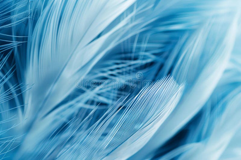 Soft Blue Feathers Swirl Gently, Catching Light and Revealing Texture ...