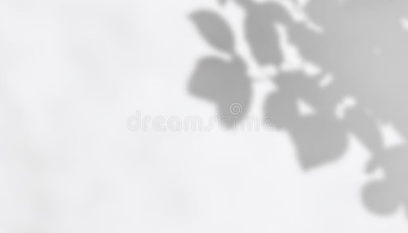 Soft Blurred Shadow Overlay with Natural Leaf Patterns for Elegant ...