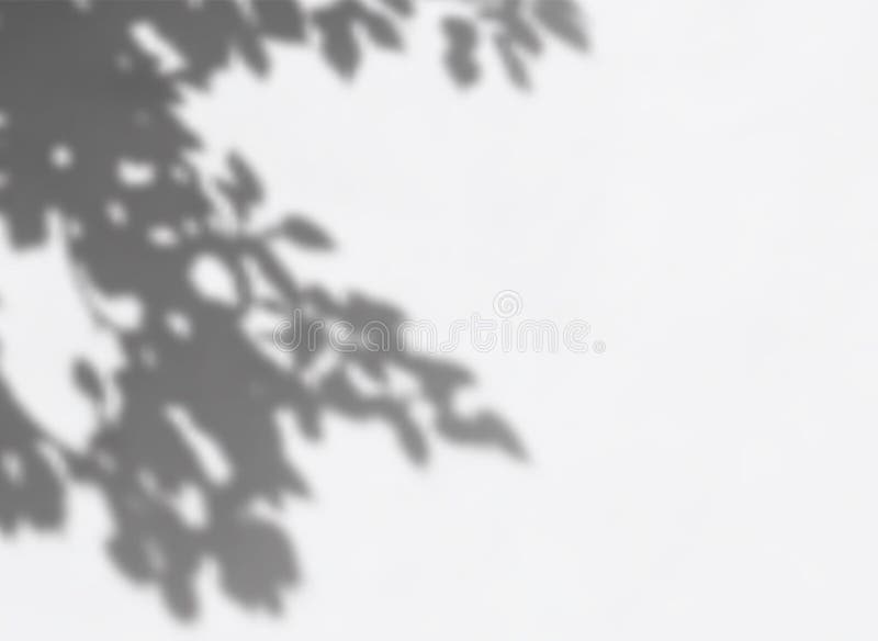 Soft Blurred Shadow Overlay with Natural Leaf Patterns for Elegant ...