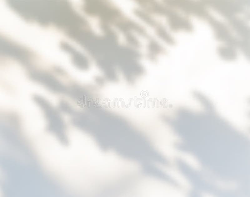 Soft Blurred Shadow Overlay with Natural Leaf Patterns for Elegant Backgrounds, Branding, and ...
