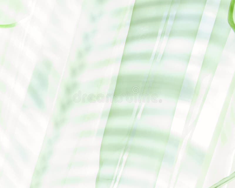 Soft and Bright Green Abstract Background Stock Photo - Image of ...