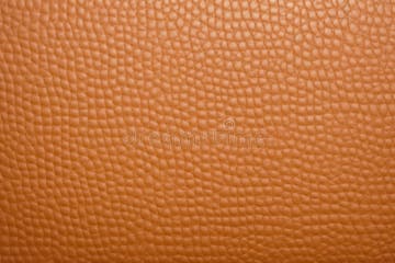 247 Camel Goods Stock Photos - Free & Royalty-Free Stock Photos from ...