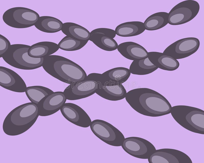 Chancre Pathogen Stock Illustrations – 2 Chancre Pathogen Stock ...