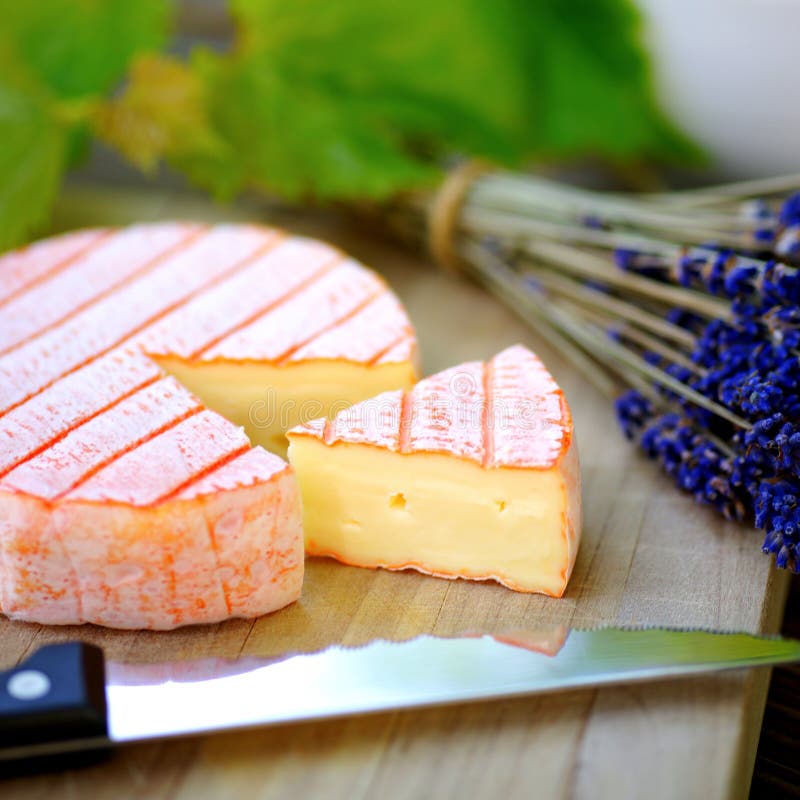 Soft cheese stock photo. Image of plate, organic, lavender - 23838824