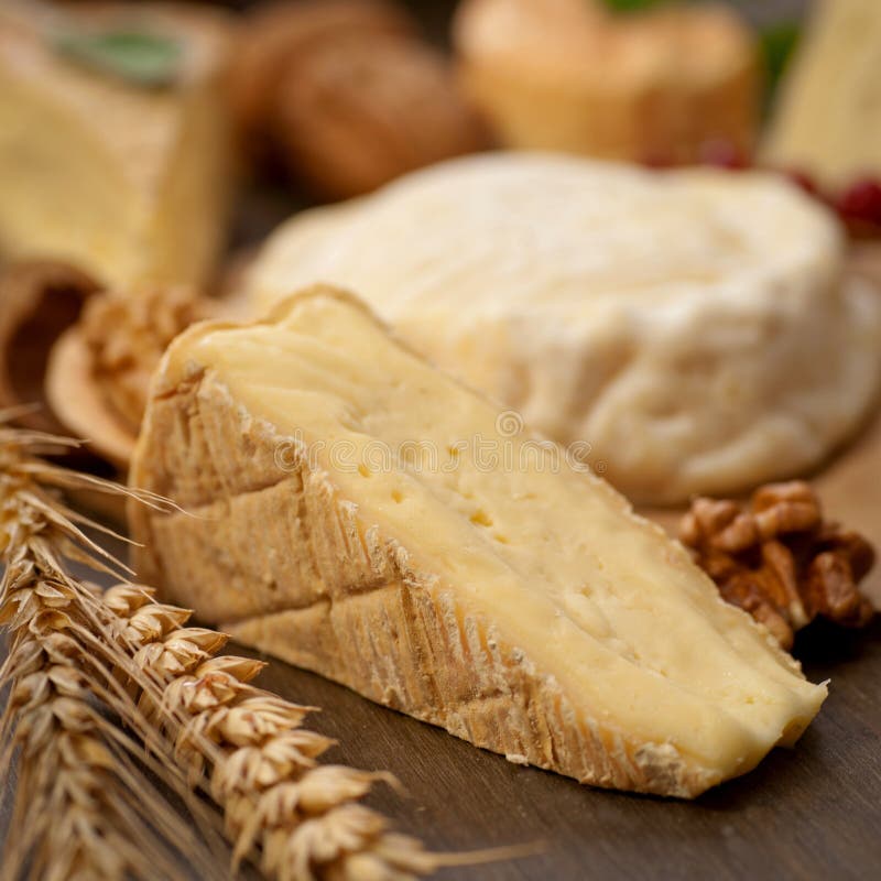 Soft cheese stock photo. Image of wood, plate, picnic - 24839518