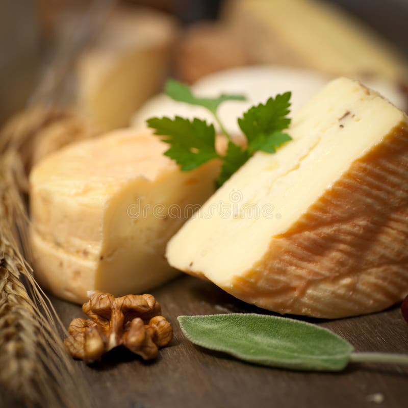Soft Cheese stock photo. Image of french, cream, cheeze - 4882222
