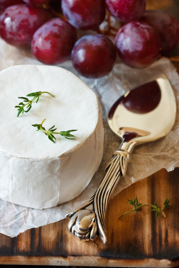 Soft cheese. stock image. Image of closeup, cuisine, delicious - 31671107