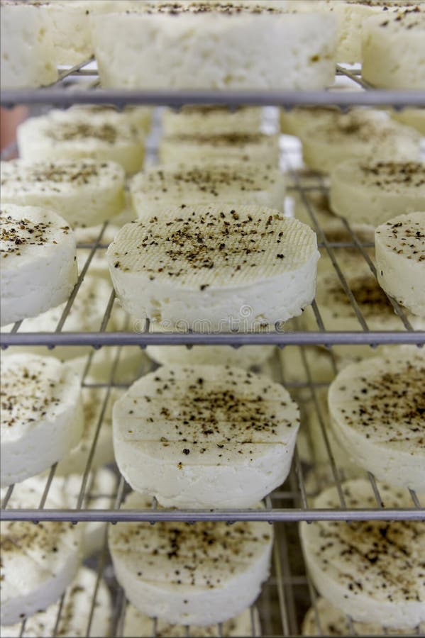 Soft cheese making no.4 stock photo. Image of manufacturing - 130760266