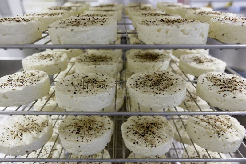 Soft cheese making no.3 stock photo. Image of cook, industry - 130760270