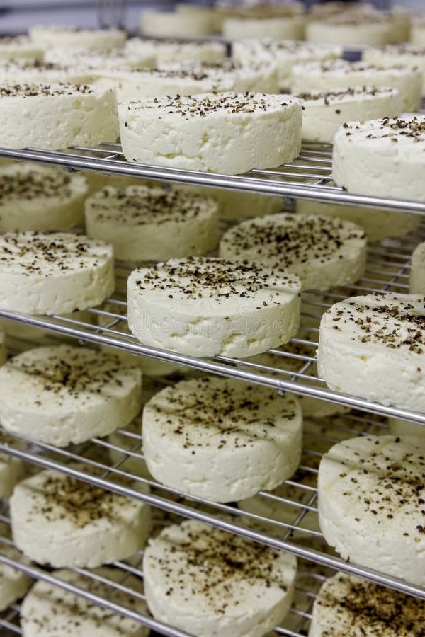 Soft cheese making no.4 stock photo. Image of manufacturing - 130760266