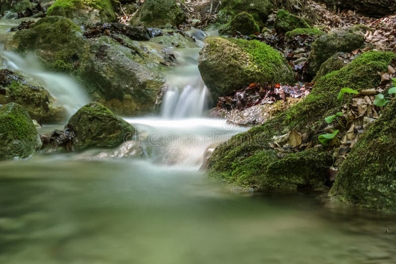 Soft Clear Flowing Water in a Gorge and Green Nature Stock Image ...