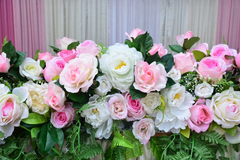 Soft Color Roses Background Stock Image - Image of backdrop, backdrops ...