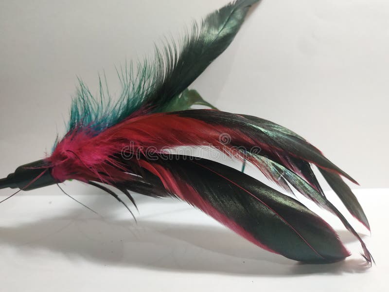 Soft Colored Chicken Feathers Stock Image - Image of textile, chicken ...