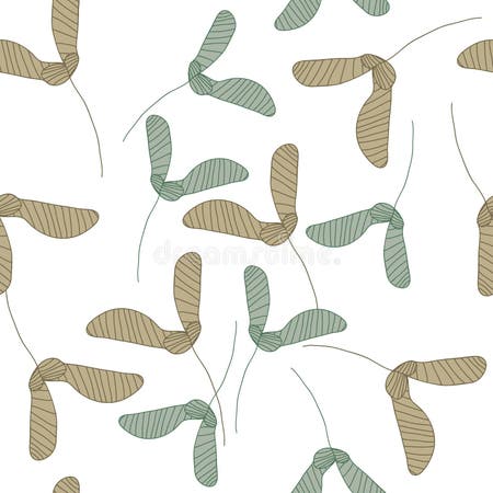 Coloured Maple Seeds Stock Illustrations – 5 Coloured Maple Seeds Stock ...