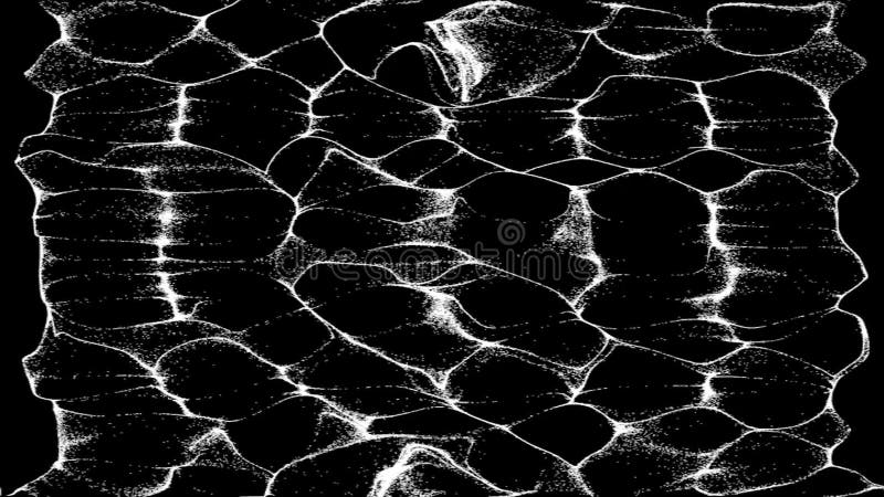 A Soft Core Erupts into Drifting Particles that Shape a Reptilian Skin ...