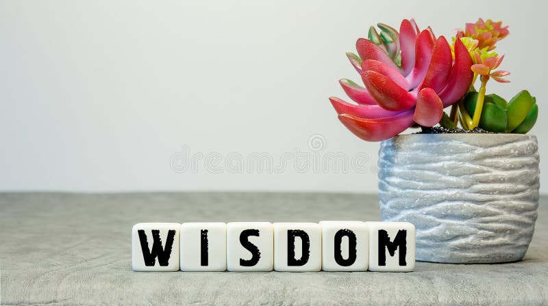 Soft Cubes with the Abbreviation WISDOM with a Flower Stock Photo ...