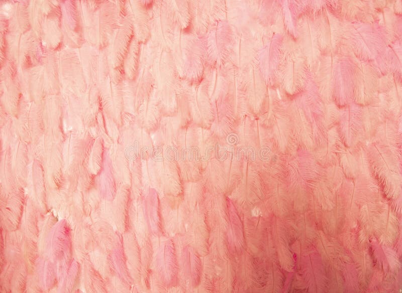 Soft and Delicate Theme. Beautiful Abstract Wallpaper Stock Photo ...