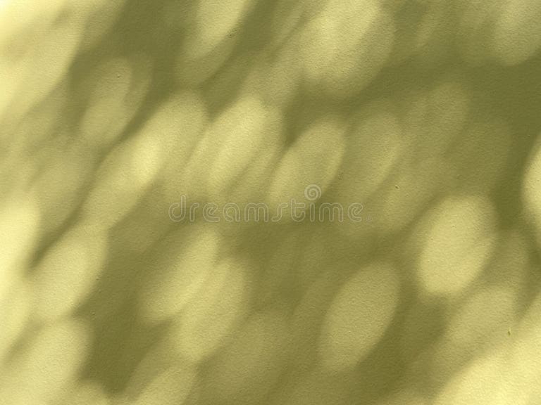 Subtle, Diffused Shadows of Leaves and Branches Appear on a Beige Wall ...