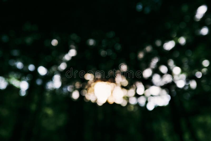 Defocused Light Green Background Stock Illustrations – 21,300 Defocused ...