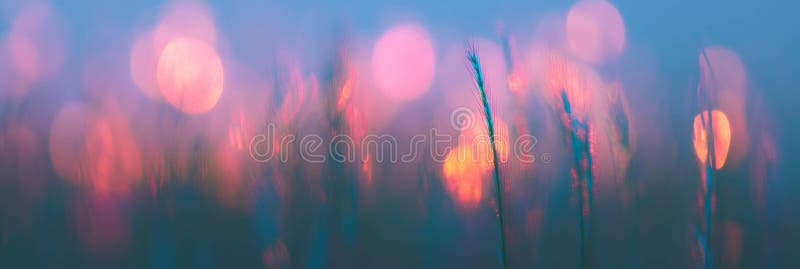 Soft Elongated Bokeh Texture with Subtle Color Gradient and Diffused ...