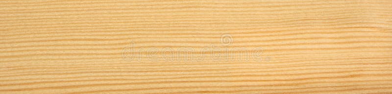 Soft European Pine Veneer with Uniform Wood Grain Stock Image - Image ...