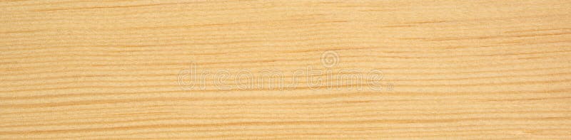 Soft European Pine Veneer with Uniform Wood Grain Stock Image - Image ...