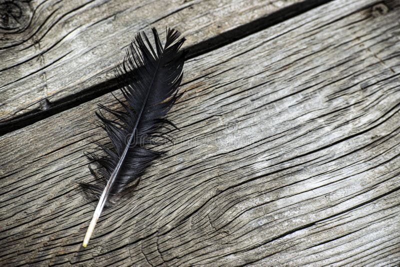 Close-up of Feather on Rustic Wood Stock Photo - Image of background ...