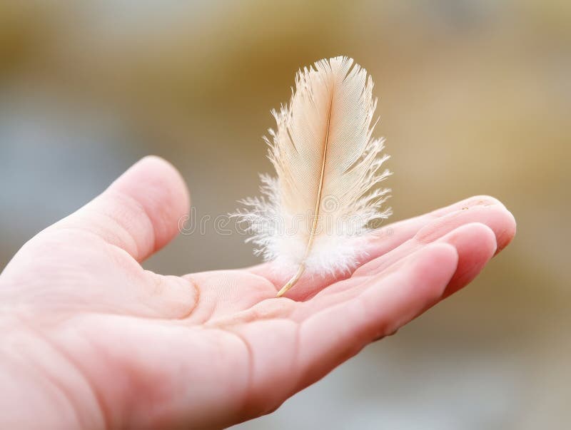 Feather Held Gently Hand Blurred Background Stock Photos - Free ...